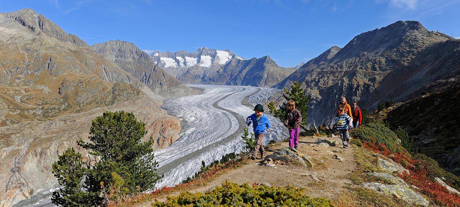 Aletsch Arena - Half-fare prices with Swiss Travel Pass | SWISStours