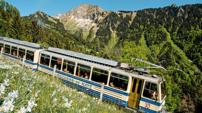 Rochers-de-Naye - With Swiss Travel Pass | SWISStours